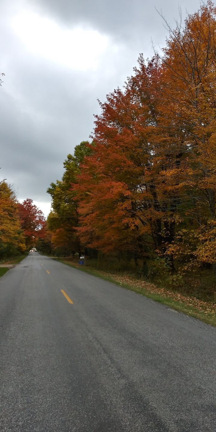 Découvrez Un Paysage Hivernal Enchanteur ! - Michigan