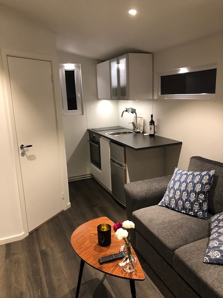 Mysig Friggebod Centralt I Halmstad - Halmstad