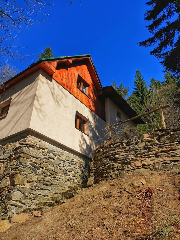 Penzion Pichberg - Harrachov