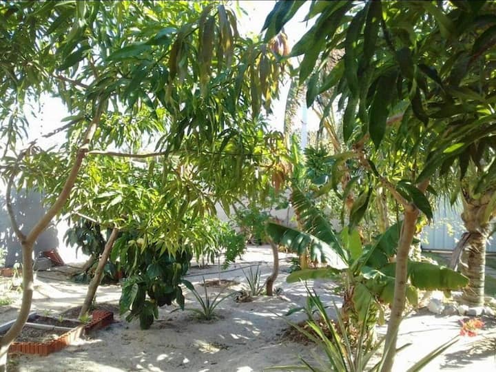 Casa Agradável Com Suíte E Estacionamento Incluso - Aquiraz