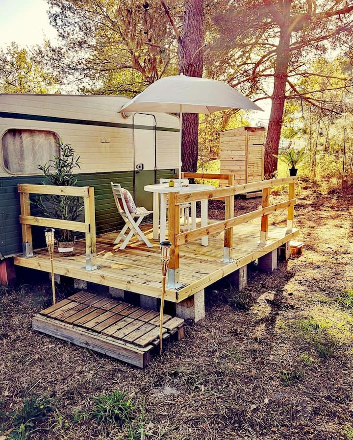 "Green Land " Expérience Nature & Calme - Mimizan