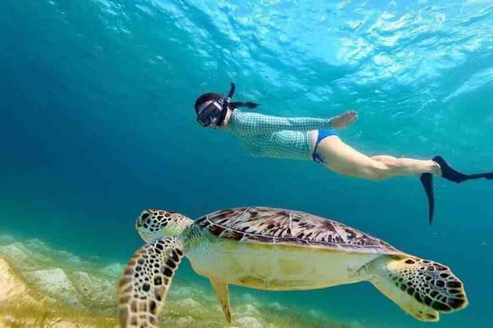Swim With Turtles - Private Room + Fast Wi Fi - Hikkaduwa