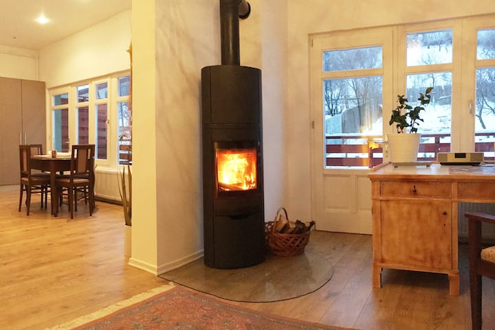 The Green House -Holiday Appartment - Brașov