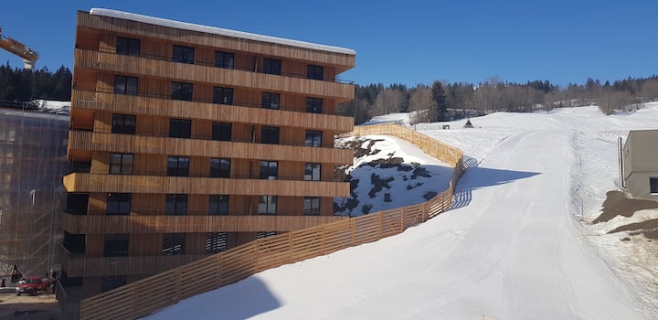 2.5 Room Apartment In Center Of Flims. Ski In/out - Flims