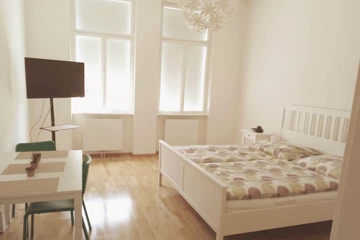 Haus "Johnstrasse" - Wohnung 28 - Wien