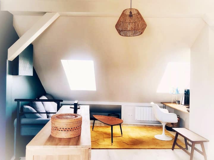 Mon Pied à Terre Centre Ville Vue Cathédrale - Strasbourg