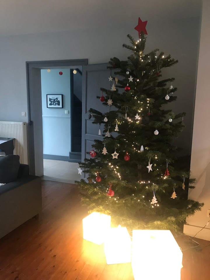 Noël En Famille! Grande Maison Pour 12 Personnes - Seclin