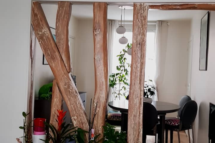 Charmant Appartement
à Nation - Paris