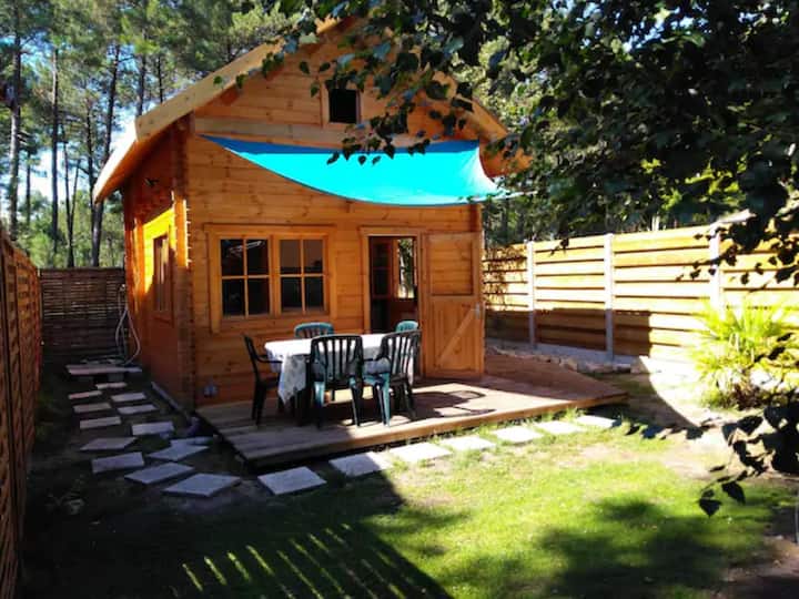 Chalet En Lisière De Forêt - Lacanau