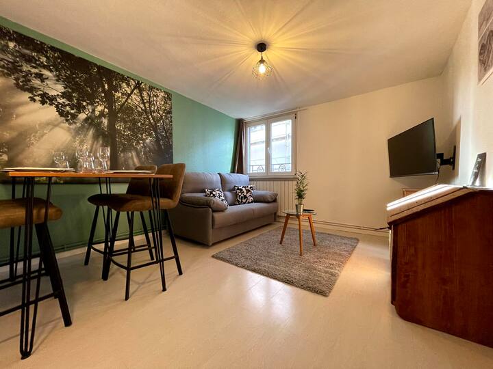Bel Appartement-centre Alsace-le Classique-5 Pers - Château du Haut Koenigbourg