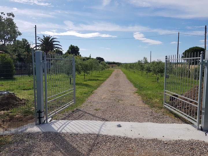 Monolocale Nella Bandita - Castiglione della Pescaia