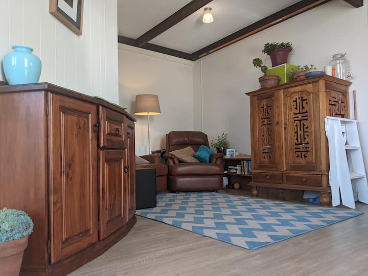 Cosy South Hobart Apartment With City Views - Hobart