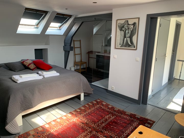 Entire Floor Of A House With A Sun Terrace - Antwerpen