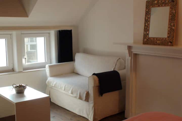 Comfortable Charming Studio Near Stpieters Station - Gante