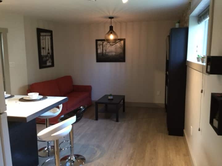 31/2,parking,acces Privé Par Code, Internet - Sherbrooke