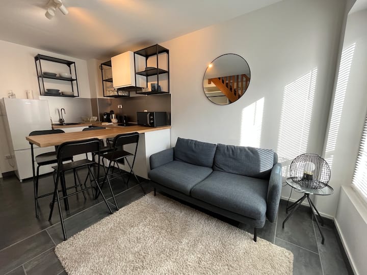 Appartement 2 Chambres + Parking - Orléans