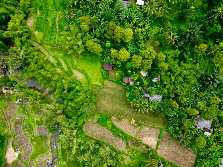 A Small Villa With Nature Surrounding - Lombok