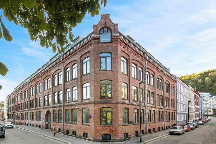 Unik Leilighet Sentrumsnært I Oslo - Oslo