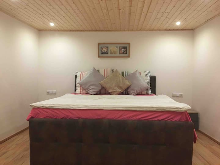 Classic Modern Flat (Near Downtown 15 Minute) - Viena