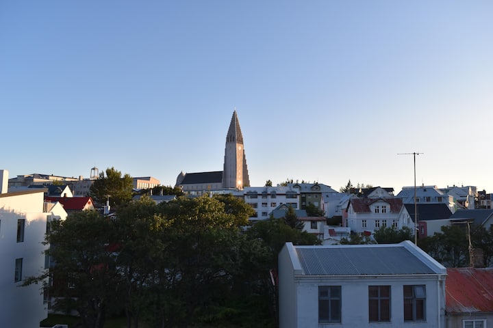 Penthouse Apartment, Central Reykjavík - Reikiavik