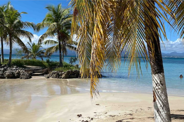 Résidence Pointe De La Verdure Accès Plage - Guadeloupe