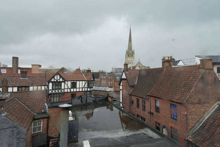 Cathedral View Studio With Parking Long Let Only - Norwich