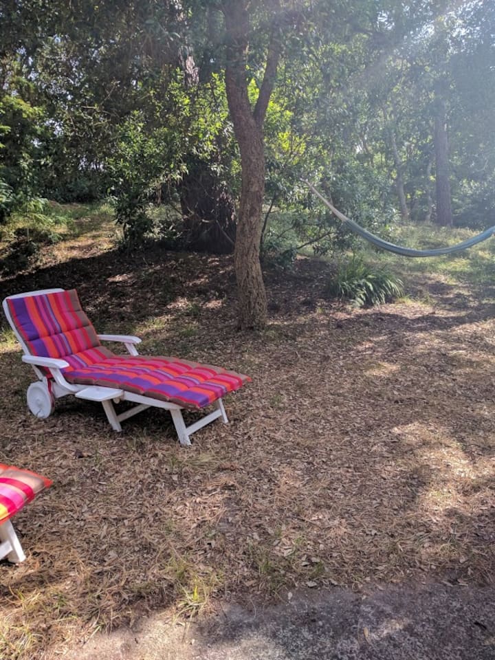 Océan, Forêt, Lac, Ville, 10 Personnes +2 Enfants) - Hossegor