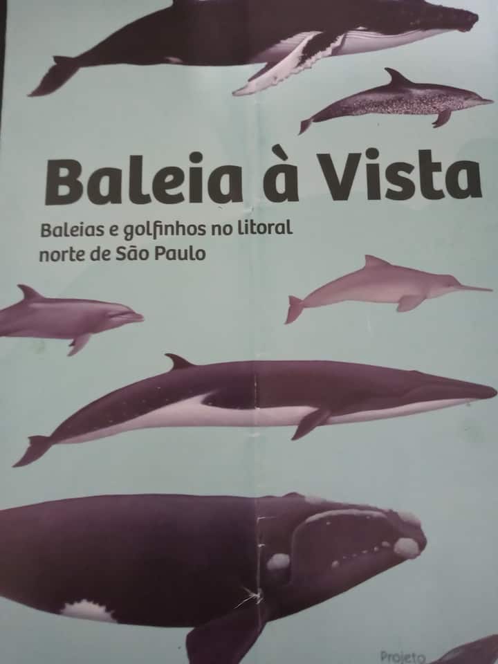 Kitnet Com Vista Para Ilhabela - Ilhabela