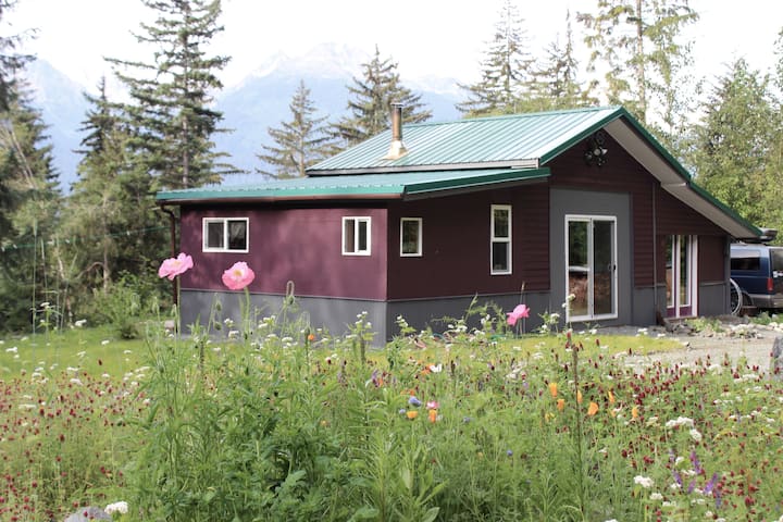 Shyine Designs Cozy Ak Style Cabin With Hot Tub - Haines, AK
