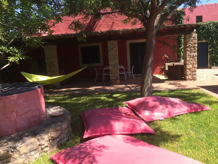 The Glorious Secrets Of Algarve     Nº- 43259/al - Fuseta