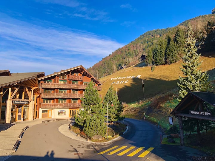 Thermes Parc Apartments - Val-d'Illiez