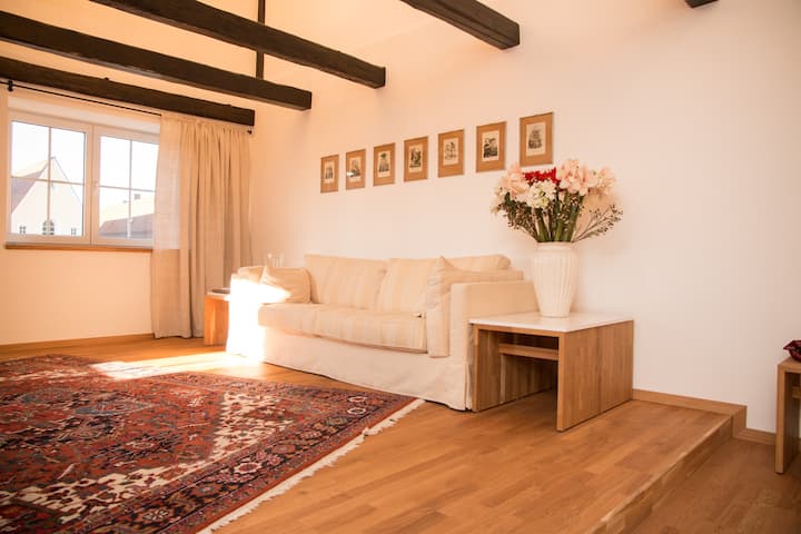 Stilvolle Altbaudachwohnung In Weidens Bester Lage - Weiden in der Oberpfalz