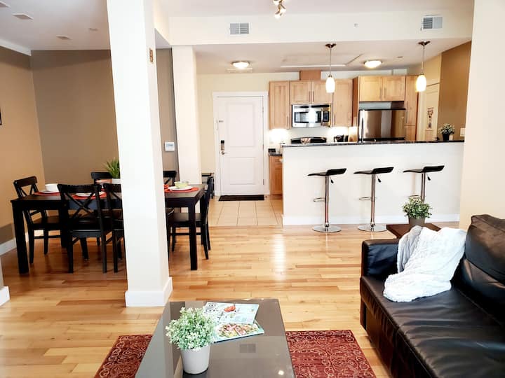 Mit/kendall Lux 3br Apartment - Boston, MA