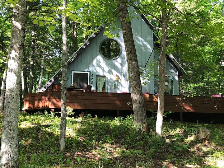 Unplug At Grandma’s Hilltop Lakeview Chalet - Mullett Lake, MI