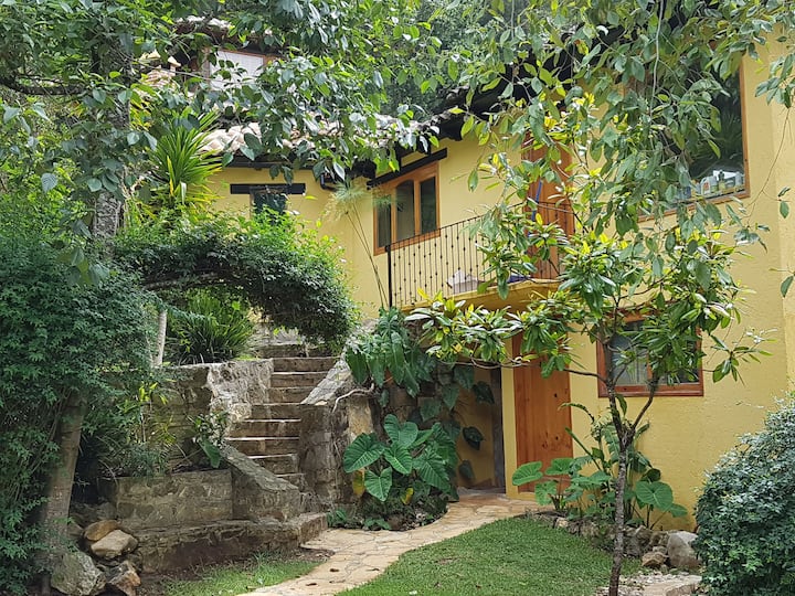 La Casa Amarilla Del Gran Jardín. - San Cristóbal de las Casas