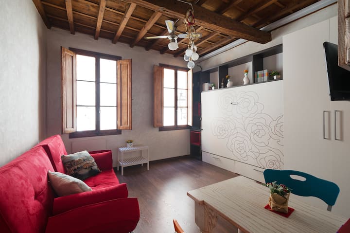 Pinocchio#33 In Santa Maria Novella - Florencia