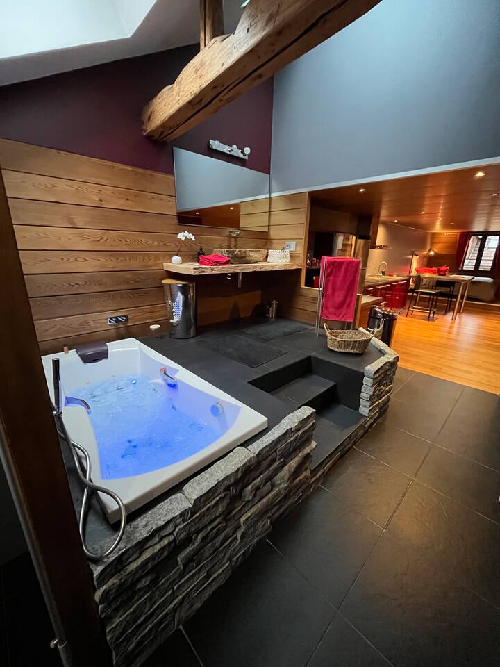 Cosy Alpin | Rue Carnot | Balnéo - Annecy-le-Vieux