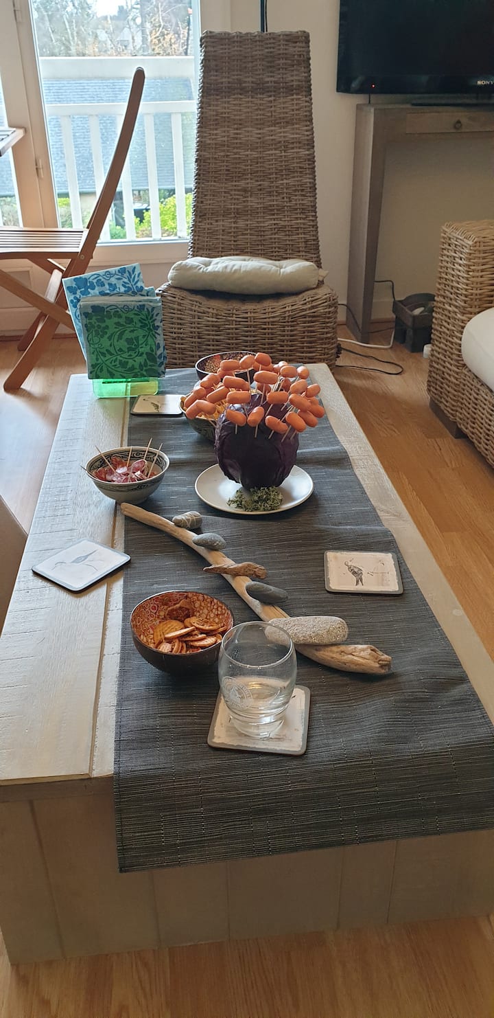 Saint-malo : Appartement  Charmant - Pleurtuit