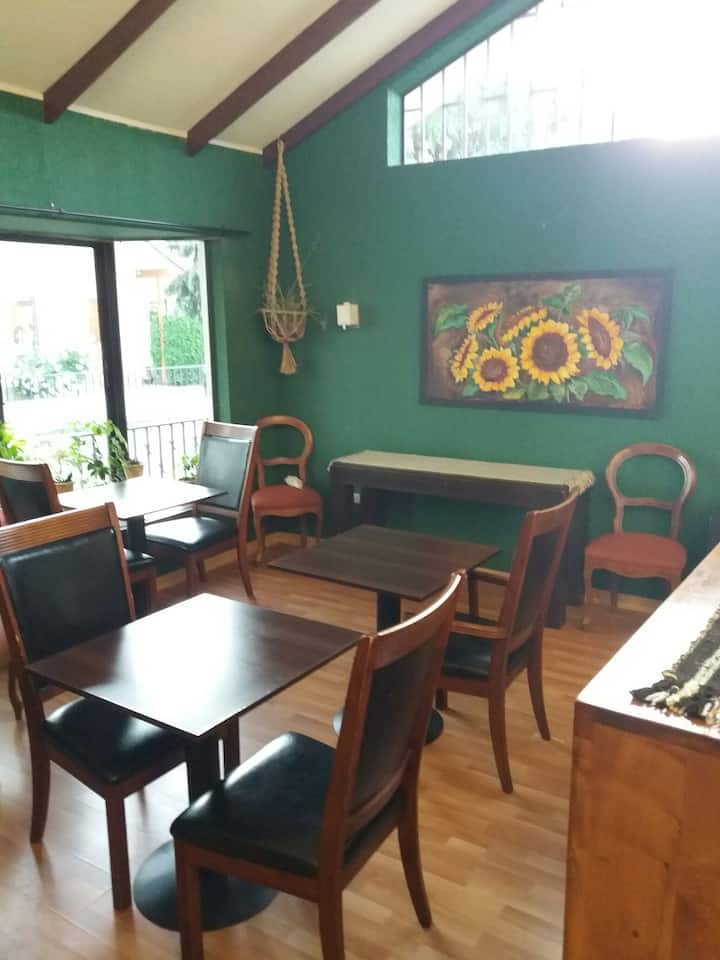 Excelentes Habitaciones Con Baño Privado En Curicó - Curicó