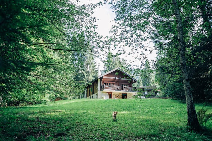 Paccots : Appartement Pour 4 Personnes Dans Chalet - Vevey