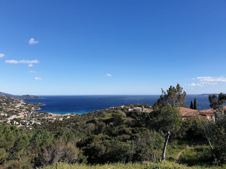 Magnifique Vue Mer, Villa Pour 2 Ou 3 Personnes - Île du Levant