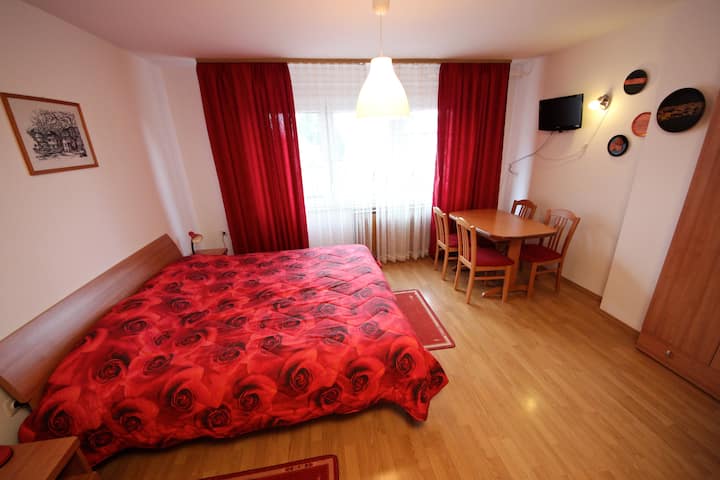 Room 2-3 Pers.postojna - Postumia