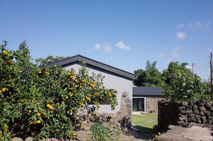 Tangerine Field Rental House 'Hona' - Jeju-si
