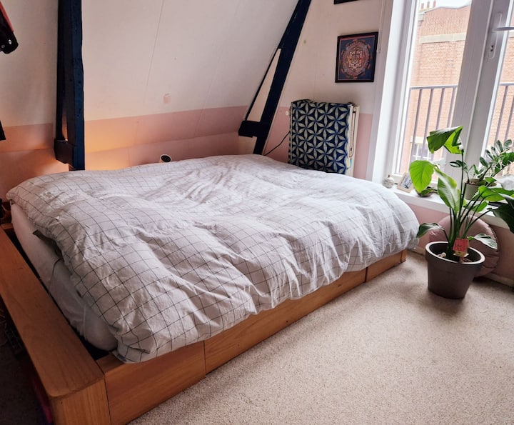 Knus Appartement In Amsterdam Bij Vondelpark. - Amsterdam