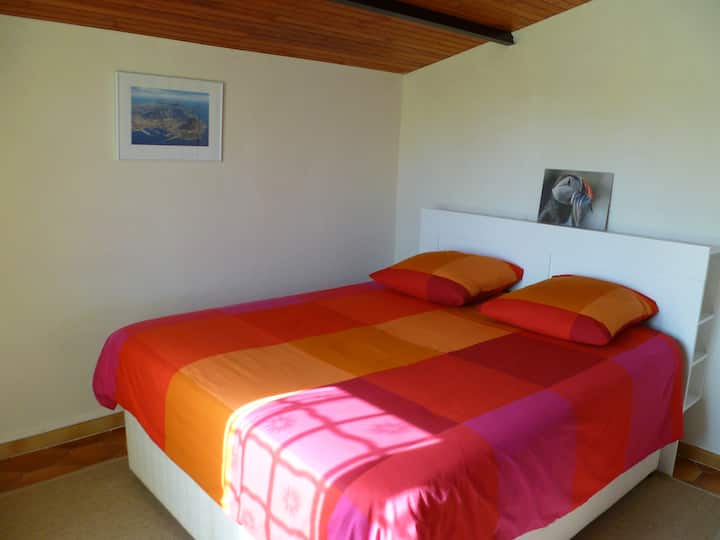 The Sunny South Of France Awaits You! - Marseillan