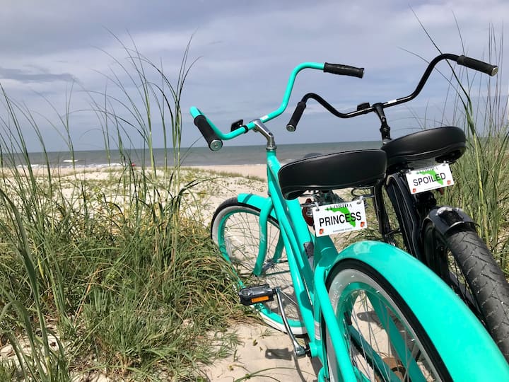 Seas The Day! Amelia Island - Amelia Island, FL