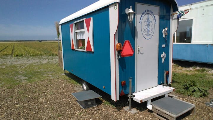 Stal Van Haaster En De Jong - Den Helder