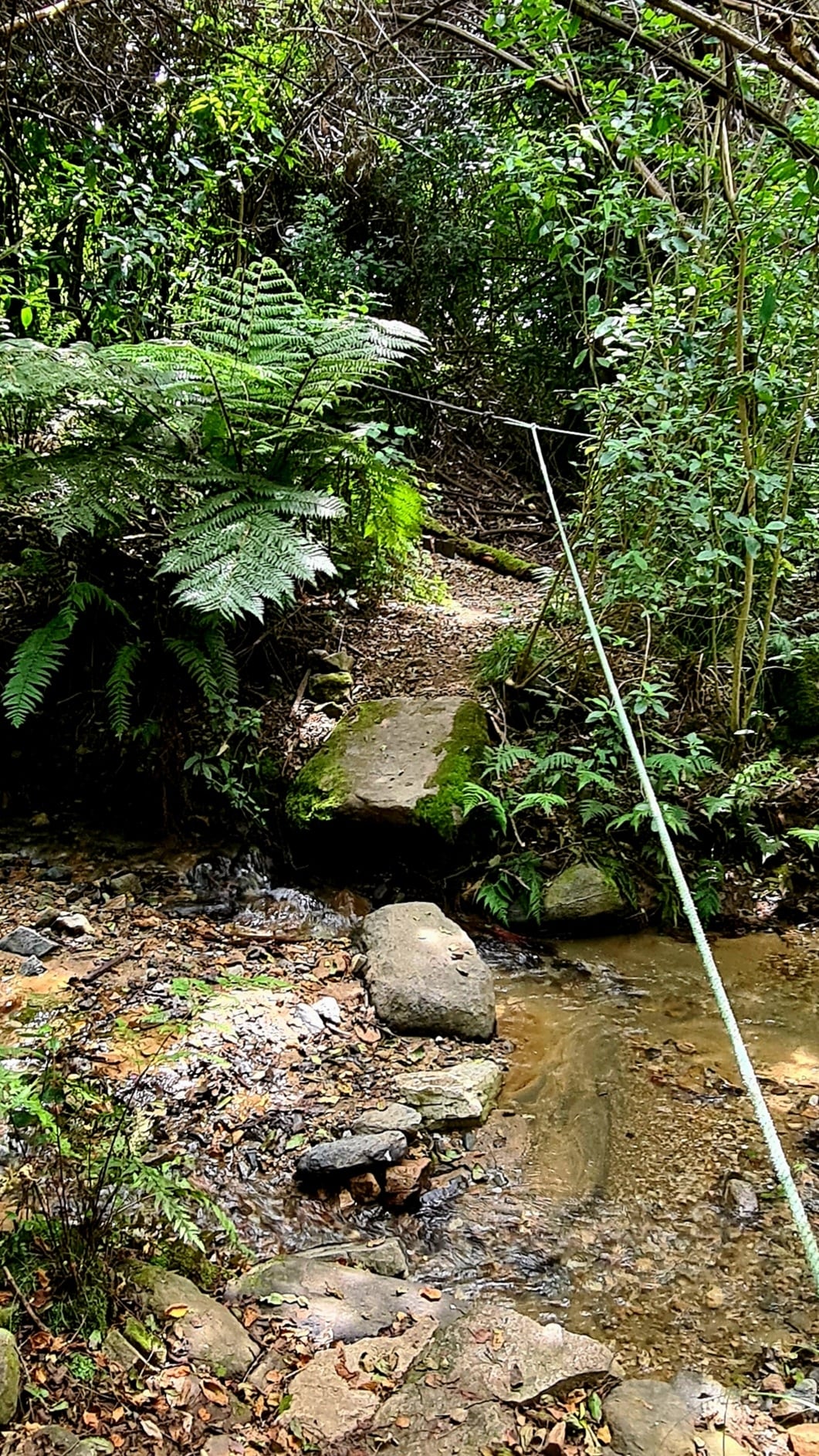 La cupola geodetica a Pohara Golden Bay - Airbnb