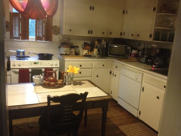 Spacious Bedroom In The Heart Of West Asheville - Asheville, NC
