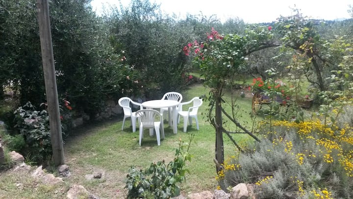 Toscana House: Garden San Gimignano View - San Gimignano
